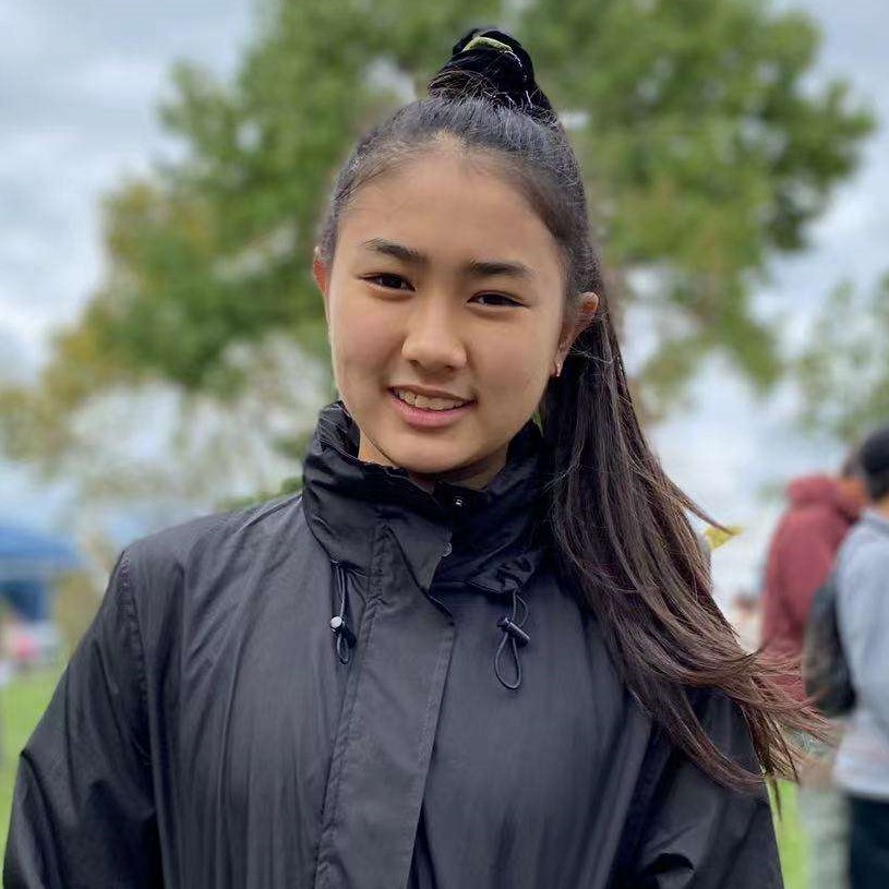 Chesspire - Free Chess Classes for Students